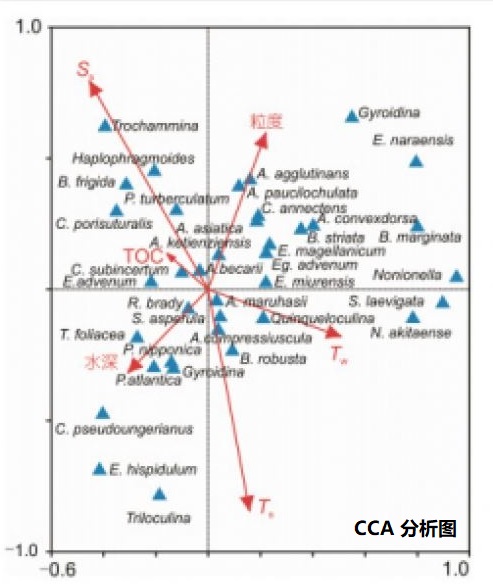 物种组成分析PCA,PCoA,NMDS,物种和环境因子分析RDA,db-RDA | 梅卫平の阅览室