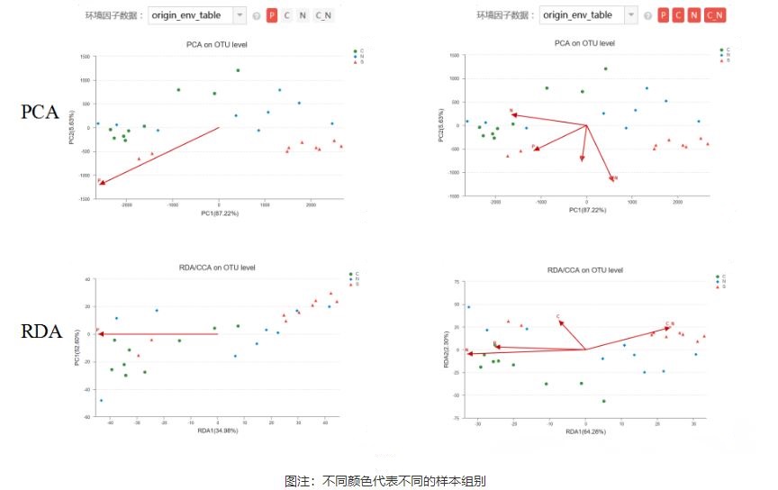 物种组成分析PCA,PCoA,NMDS,物种和环境因子分析RDA,db-RDA | 梅卫平の阅览室