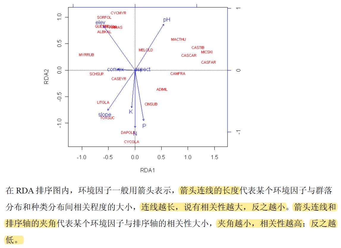 物种组成分析PCA,PCoA,NMDS,物种和环境因子分析RDA,db-RDA | 梅卫平の阅览室
